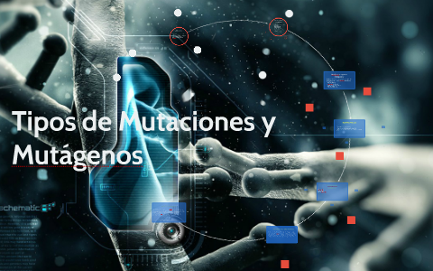 Tipos de Mutaciones y Mutagenos by javier hervas on Prezi