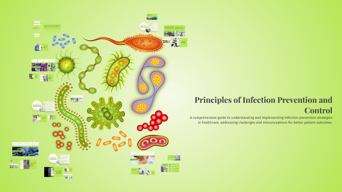 Principles of Infection Prevention and Control by Mohammed Garout on Prezi