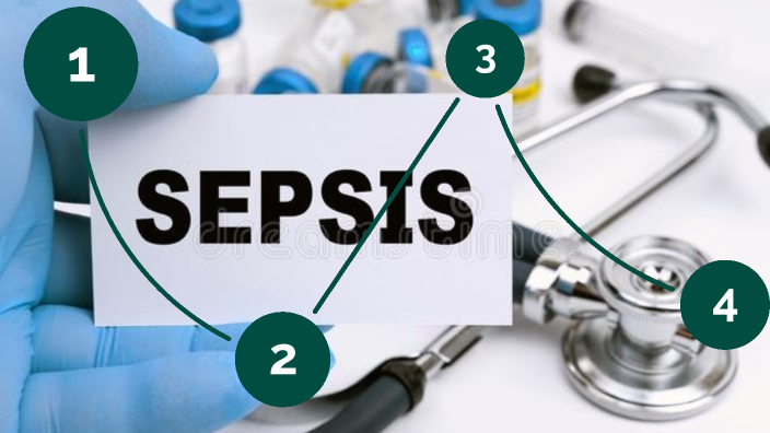 SEPSIS by Yacine Fernández Diop on Prezi