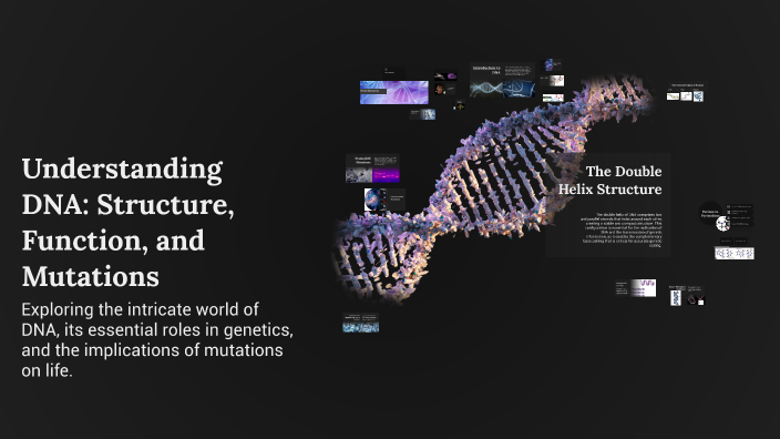 Understanding DNA: Structure, Function, and Mutations by John Lui on Prezi