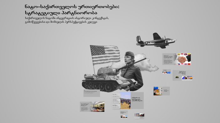NATO–Georgia Relations: A Strategic Partnership by Akaki Tsirekidze on ...
