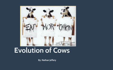Evolution of Cows by Nathan Jeffery on Prezi