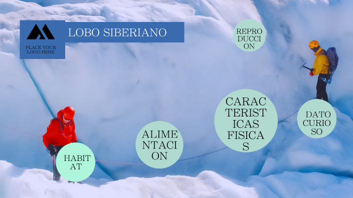 Lobo Siberiano by Jimmy Alexander Poveda Avila on Prezi