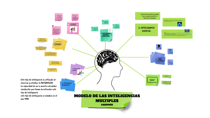 MODELO DE INTELIGENCIAS MULTIPLES-GARDNER by bridiget rodriguez on Prezi