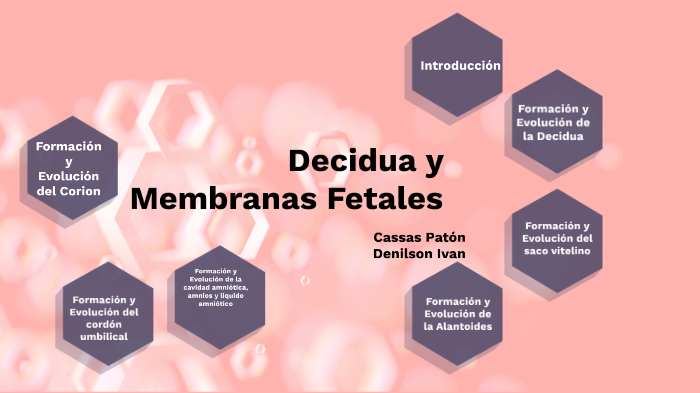 Decidua y Membranas by Denilson Ivan Cassas Paton on Prezi