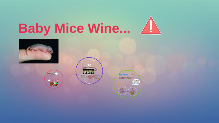 Baby Mice Wine... by Kyla van Dyk on Prezi