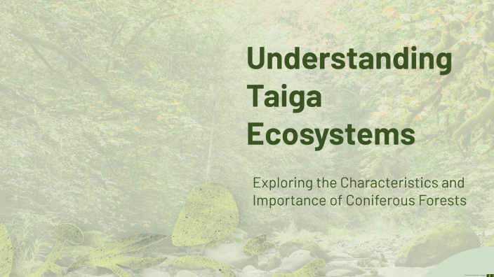 Understanding Taiga Ecosystems by teresa lopez on Prezi