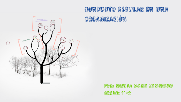 CONDUCTO REGULAR EN UNA ORGANIZACIÓN by Brenda Zambrano on Prezi