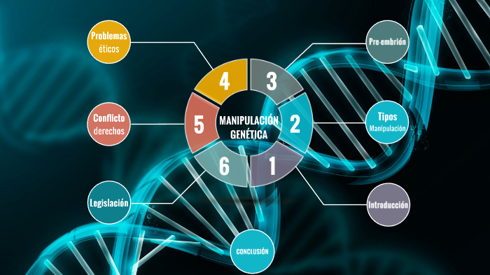 MANIPULACIÓN GENÉTICA by Eugenia Simarro on Prezi