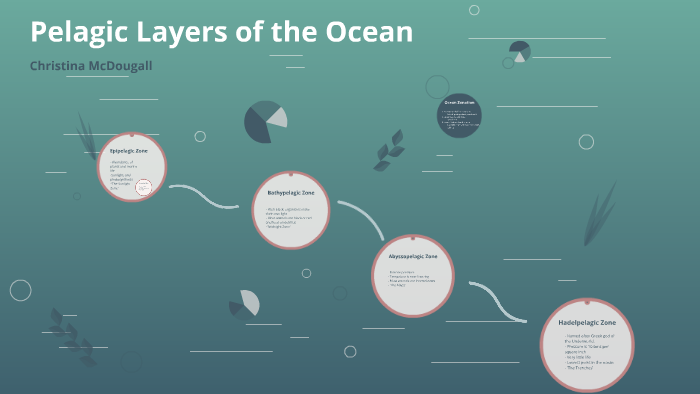 Geologic Provinces of the Ocean by Christina McDougall on Prezi