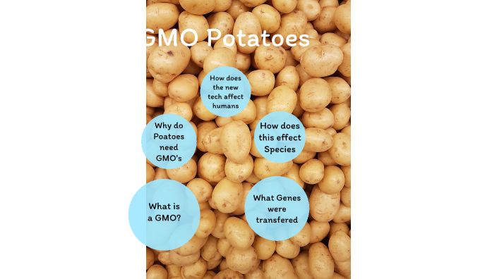 GMO's in Potatoes by Colton Herron on Prezi