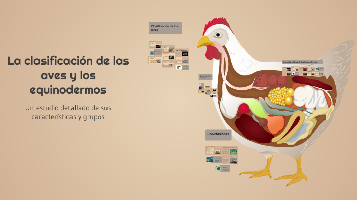 La clasificación de las aves y los equinodermos by Alison Ar on Prezi