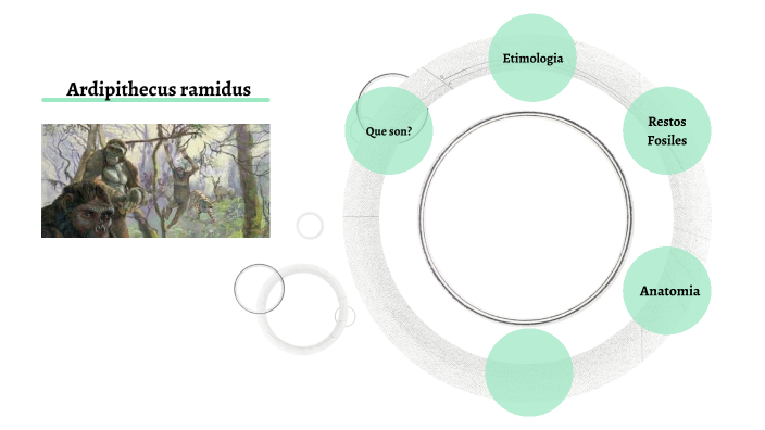 Ardipithecus Ramidus by Fernando de Vilas on Prezi