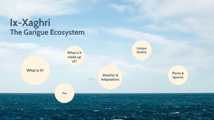 Garigue Malta by PJ Borg on Prezi