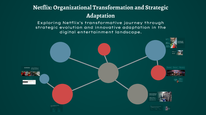 Netflix: Organizational Transformation and Strategic Adaptation by ...
