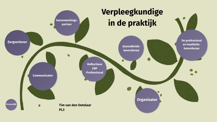 Het verpleegkundige plaatje by Tim van den Oetelaar on Prezi