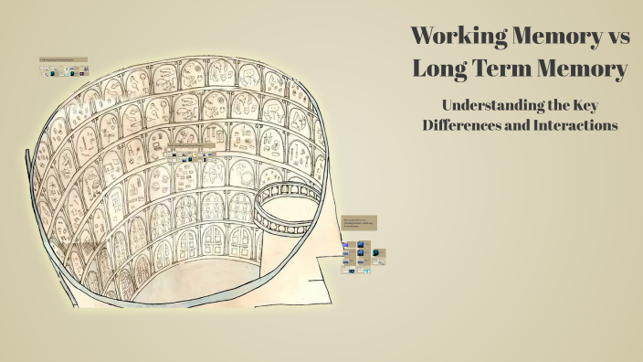 Working Memory vs Long Term Memory by Noor Ul Ain on Prezi