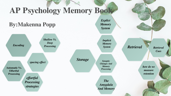 AP Psychology Memory Book by makenna popp on Prezi