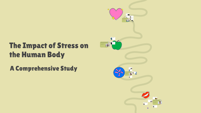 The Impact of Stress on the Human Body by Bangs on Prezi