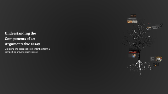 Understanding the Components of an Argumentative Essay by Hananiah ...