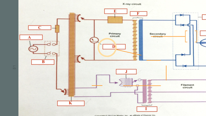 x-ray by megan medrano on Prezi