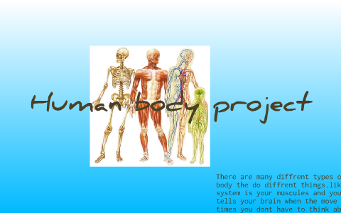 human body project by morgan herdman on Prezi