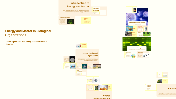Energy and Matter in Biological Organizations by Keynze Leah on Prezi