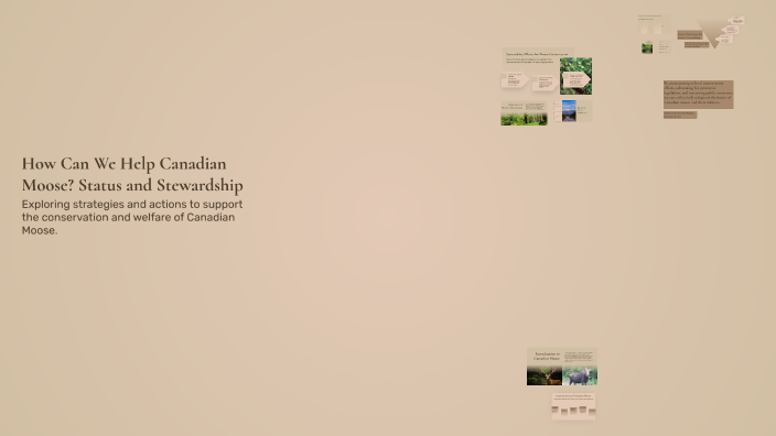 How Can We Help Canadian Moose? Status and Stewardship by Aryan Jain on ...