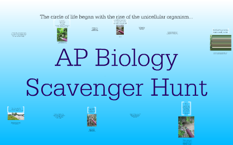 AP Biology Scavenger Hunt- Final by Olivia Duong on Prezi