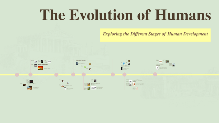 The Evolution of Humans by Abhilasha Chaudhuri on Prezi