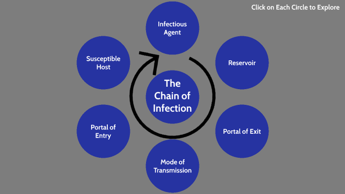 Chain of Infection by Veer Jain on Prezi