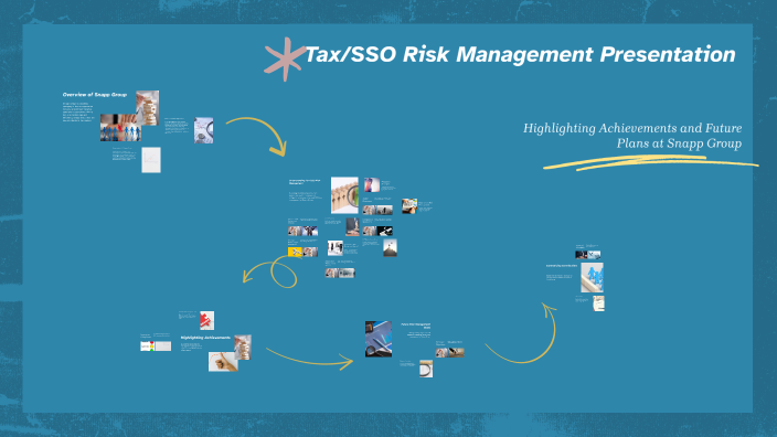 Tax/SSO Risk Management Presentation by Celin Farhadian on Prezi