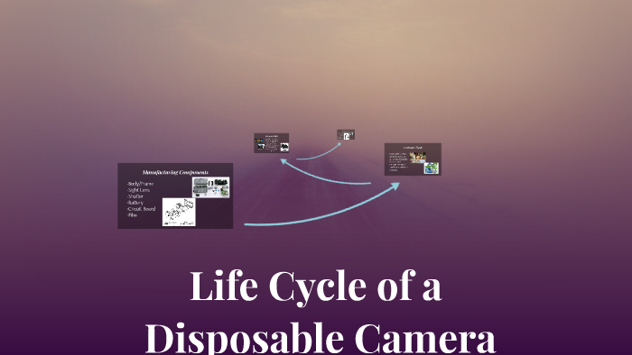 Life Cycle of a by Michaela Morris on Prezi