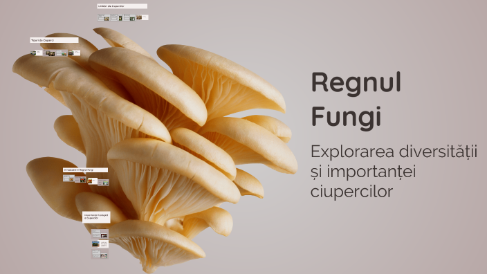 Regnul Fungi by Milan Berindea on Prezi