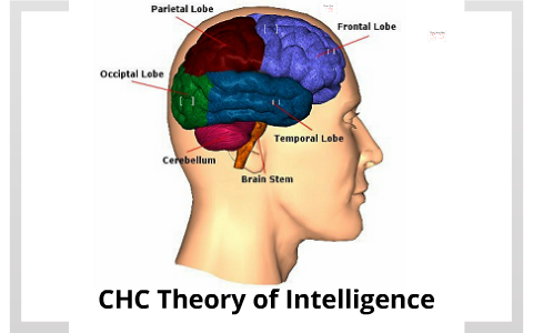 CHC Theory of Intelligence by Jim Garrity on Prezi