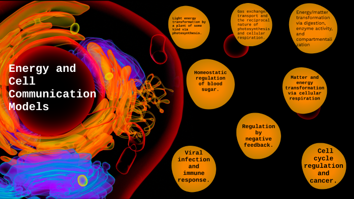 Energy and Cell Communication Models by Simone Wuttke on Prezi