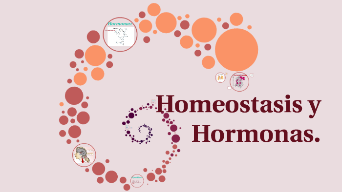 Homeostasis y Hormonas. by Carolina Hinojosa on Prezi