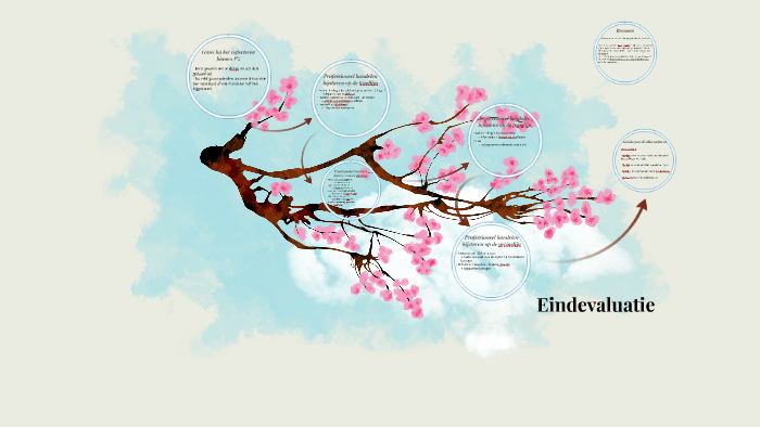 PZ eindevaluatie by Zoë Nimmegeers on Prezi