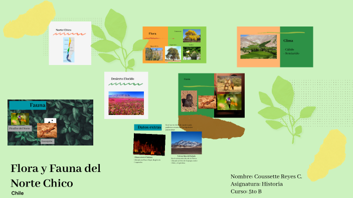 Flora y Fauna del Norte Chico by Poison Debi on Prezi