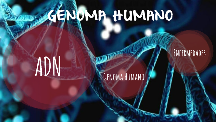 Genoma Humano by Valeria Zamora on Prezi