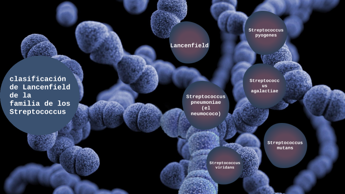 Esquema clasificación de Lancenfield by Angie Escobar Barrios on Prezi