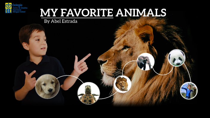 My favorite animals. by ae spots on Prezi