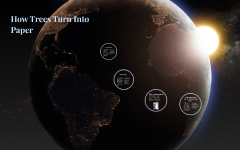 How Trees Turn Into Paper by Getting Creative on Prezi