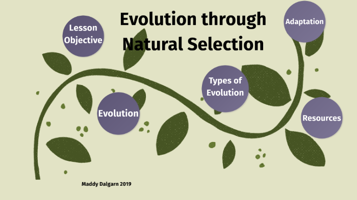 Evolution through Natural Selection by Maddy Dalgarn on Prezi