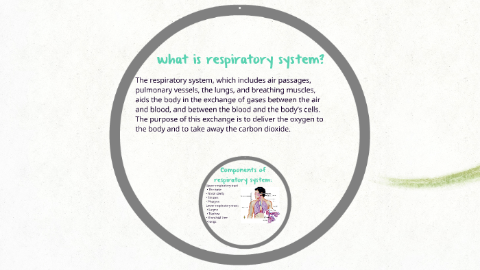 pathophysiology of respiratory system. by haya zaid on Prezi