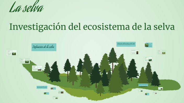 La selva by Kevin Arrevillaga on Prezi
