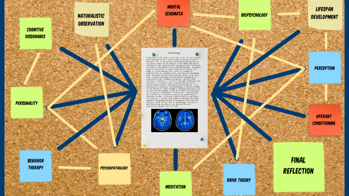 Concept Map Daniel Marcinko by Daniel Marcinko on Prezi