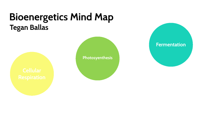 Bioenergetics Mind Map by Tegan Ballas on Prezi
