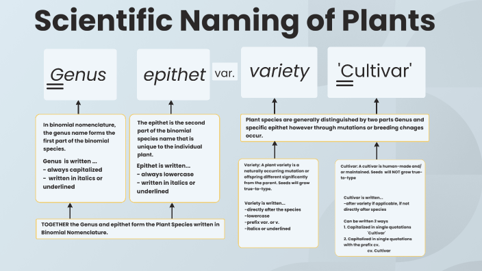 Scientific Names of Plants by Sophia Cori on Prezi