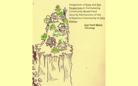 INTEGRATION OF EMIC AND ETIC PERSPECTIVES IN FORMULATING COM by J S on ...